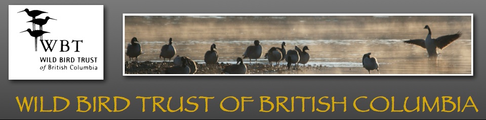 Wild Bird Trust: