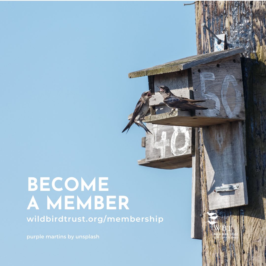 Become a Member - Wild Bird Trust of British Columbia