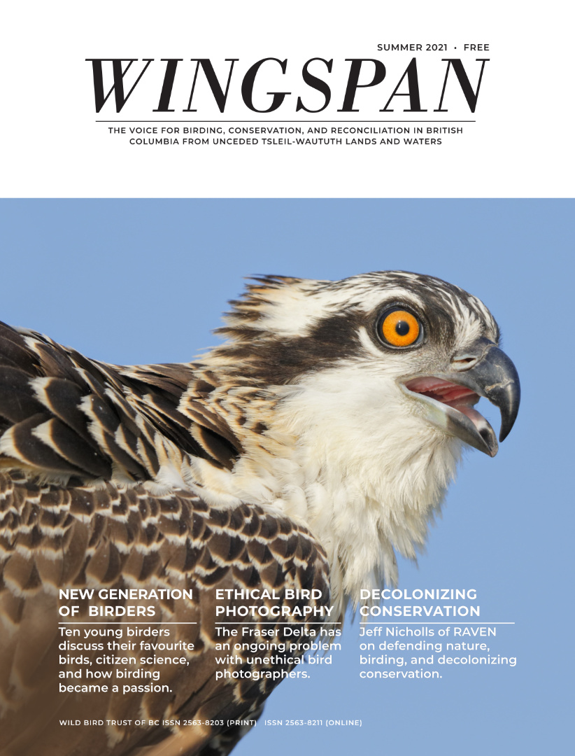 Wingspan Bryony Angell On Wingspan Game Illustrators' New Book Birds